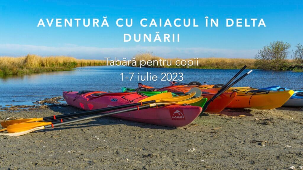 Tabara pentru copii 2023: aventura cu caiacul in Delta Dunarii - Modern ...
